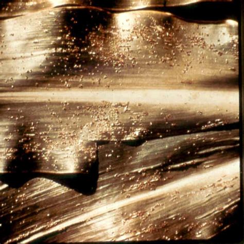 Plants Diseases Detection And Classification Object Detection Dataset V12 2023 02 04 7 52pm