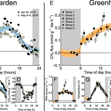Methane Fluxes From Scots Pine Shoots Measured In Forest Garden And Download Scientific