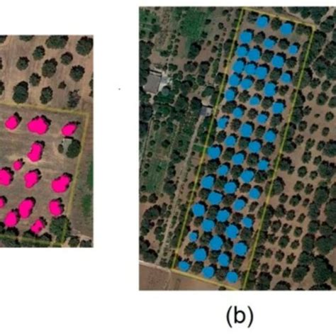 An Example Of Multipolygon Product Of The Three Fields On The Date Of Download Scientific
