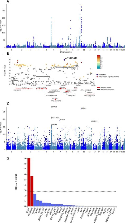 Genome Wide Cross Trait Ethnic Meta Analysis Results Of SCZ And T DM Download Scientific