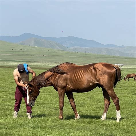 Ган Очирын Билгүүн Bilguun Gan Ochir On Reels Facebook