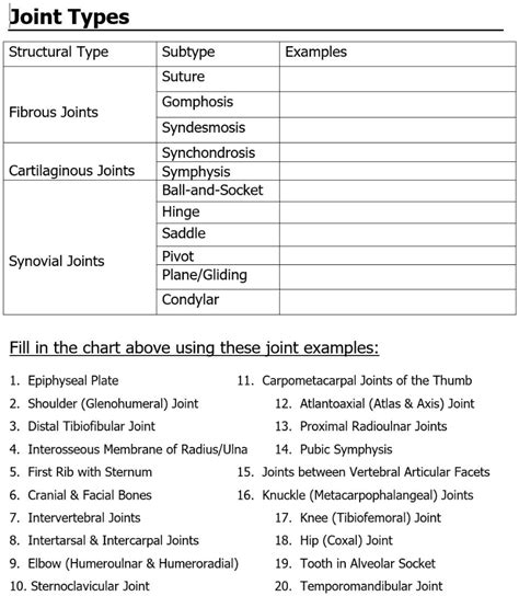 Joint Types Structural Type Subtype Examples Suture Gomphosis Fibrous Joints Syndesmosis