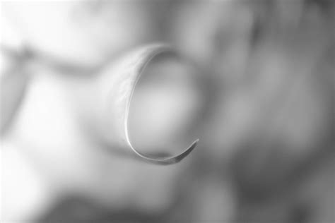 C Assembly Exe And Dll Clarify The Differences Of These By