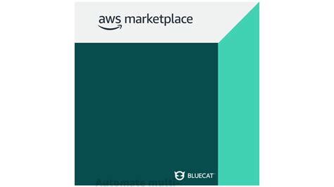 Perry Feler On Linkedin Automate Multi Account Ip Address Management With Bluecat And Aws Control