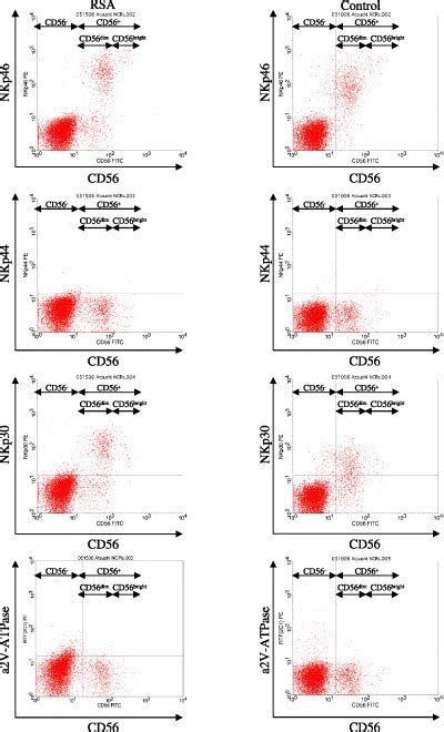 Representative Dot Plots Of The Expression Of Natural Cytotoxicity