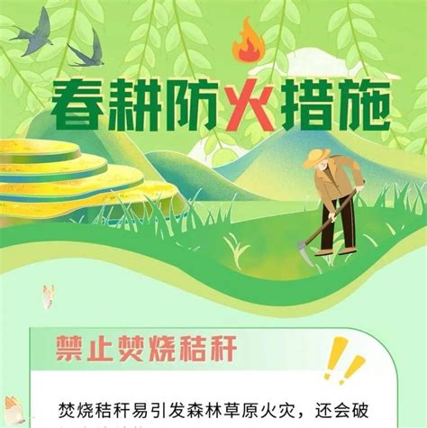 【安全提示】春意融融，切记防火！森林田鹏踏青