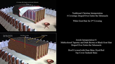 Coverings Of The Tabernacle Part 4 Badger Skins “tachash” Exodus 35