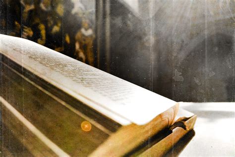 Fotos von HalleBibel in der Marienkirche | Fotos von Halle