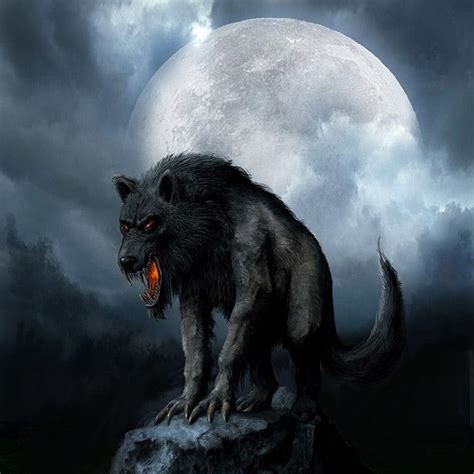 17 Best Images About Lycan On Pinterest Wolves A Wolf And Art