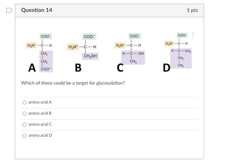 Solved Question Pts Coo Coo Coo Coo Hn H Ch Ch Coo Chegg Com