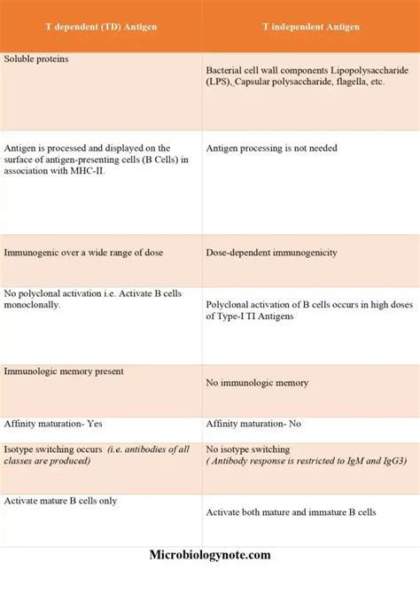 T Dependent Antigen And T Independent Antigen Biology Notes Online