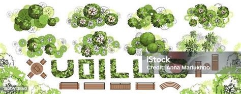 조경 설계 계획에 대한 Webtop 보기 요소입니다 건축 평면도를 위한 나무와 벤치 측근 디자인 다양한 나무 덤불 및 관목 벡터 일러스트 레이 션입니다 가구에 대한 스톡
