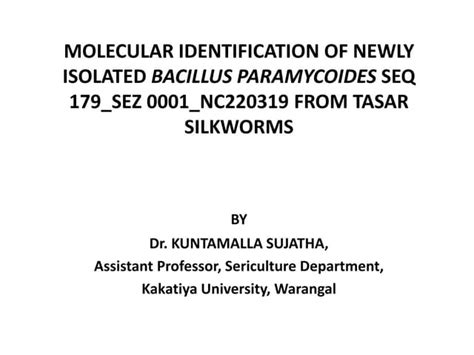 Molecular Identificationpptx Free Download