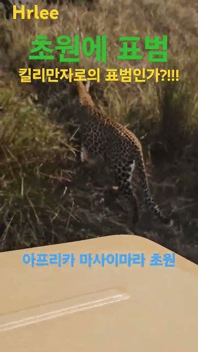 이사야 43 01 너는 두려워하지 말라 내가 너를 구속하였고 내가 너를 지명하여 불렀나니 너는 내 것이라 Song