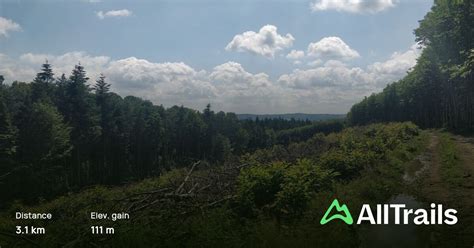 Flexham Park Loop West Sussex England 35 Reviews Map Alltrails