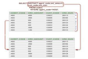 SQL SELECT DISTINCT Multiple Columns How To Use It With Examples