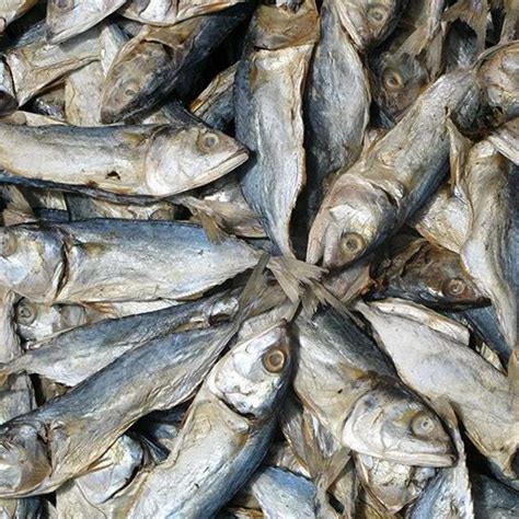 Dry Salted Fish For Household Packaging Type Box At ₹ 299kg In