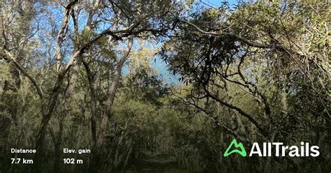 Point Wolstoncroft Fire Trail New South Wales Australia 29 Reviews