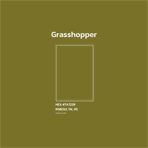About Grasshopper Color Codes Similar Colors And Paints About Grasshopper Color Codes Similar Colors And Paints