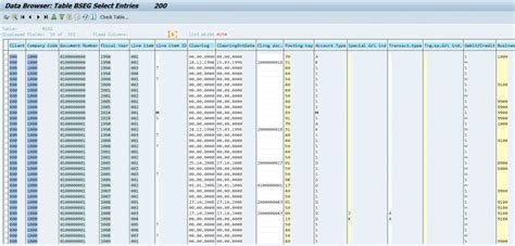 Se16n Se16 In Sap How To Use Se16 To View Table In Sap