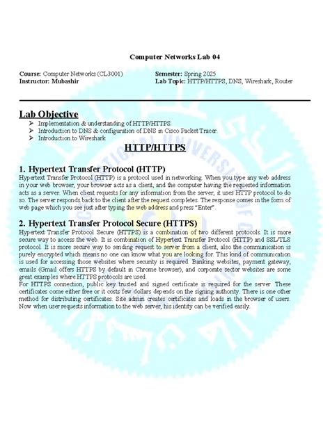 Lab 04 Cn Updated And Dns Implementation In Cisco Packet Tracer Computer Networks