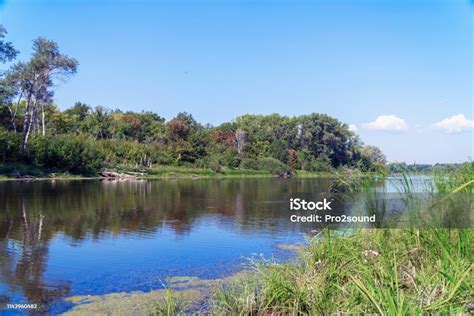 화창한 날에 숲의 강 기슭 여름 풍경입니다 포레스트 바이 더 리버 0명에 대한 스톡 사진 및 기타 이미지 0명 각도 강 Istock