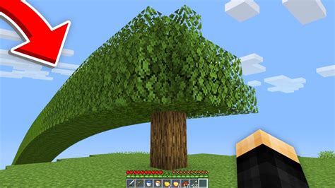 Minecraft But What S This Tree YouTube