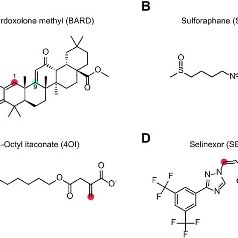 Chemical Structures Of The Four Compounds Used The Reactive