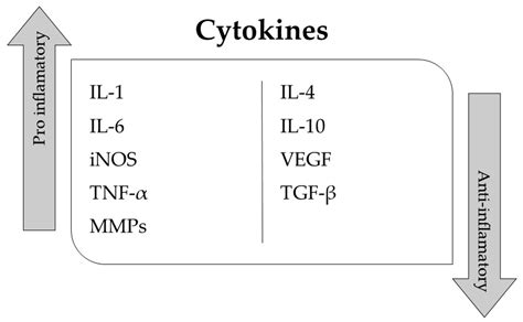 Nanoparticle Mediated Delivery Of Flavonoids Impact On Proinflammatory