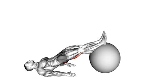 Exercise Ball Diagonal Kick Hamstring Curl Video Guide And Tips