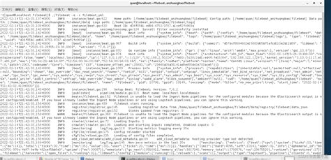解决启动filebeat时遇到exiting Error Unpacking Config Data More Than One