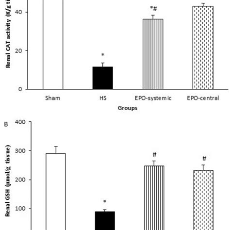 Induction Of Hemorrhagic Shock Hemorrhagic Shock Stages Were As