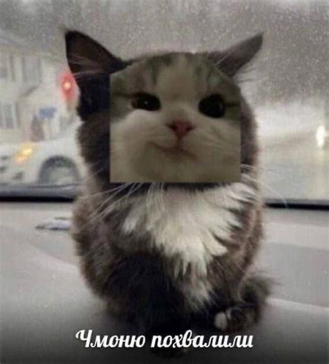 Какой довольный 😻