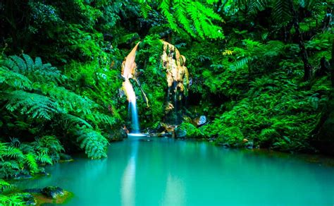 Ada Khdpk Ada Khdtk Apa Bedanya