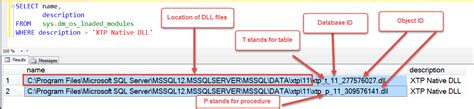 Sql Server Location Of Natively Compiled Stored Procedure And Naming