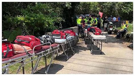 瑞芳虎頭蜂狂襲登山團釀2死 專家揭2大保命法 民視新聞網 Line Today