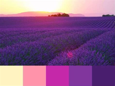 5 Websites With Tools To Extract Color Palettes From Photos Criativaart