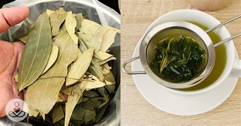 დაფნა დაგეხმარებათ განთავისუფლდეთ მარილების დაროვებისაგან სახსრების გადაღლილობისა და