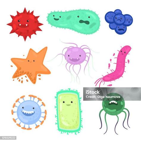 흰색 배경에 고립 된 다양한 유형 색상 및 모양으로 설정 된 다양한 미생물 박테리아에 대한 스톡 벡터 아트 및 기타 이미지 박테리아 마이크로 생물체 벡터 Istock