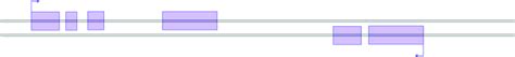 long noncoding rnas are classifi ed according to the genomic context in
