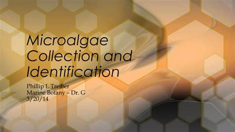 Microalgae Collection And Identification Ppt