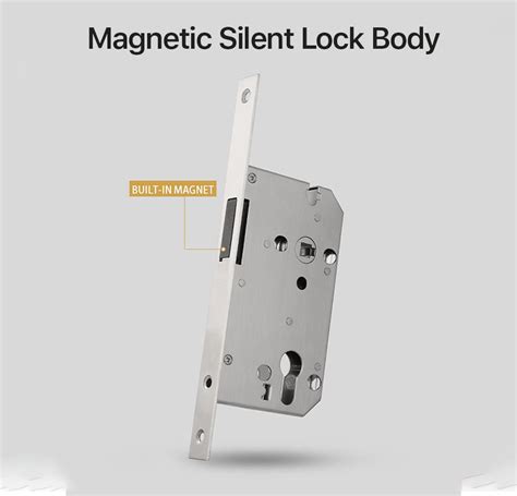 Passage Lever Door Lock Articture