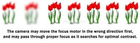 Whats Phase Detection And Contrast Detection Autofocus