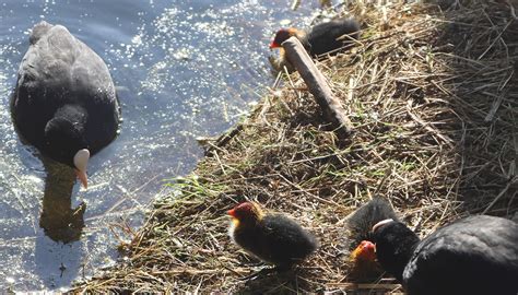 Crypto And Quant Trading Cuemacro