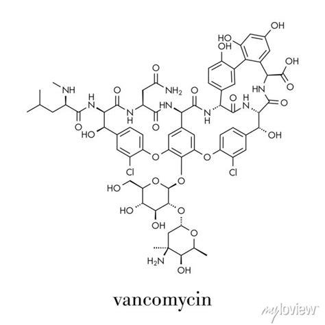 Vancomycin Drug Class