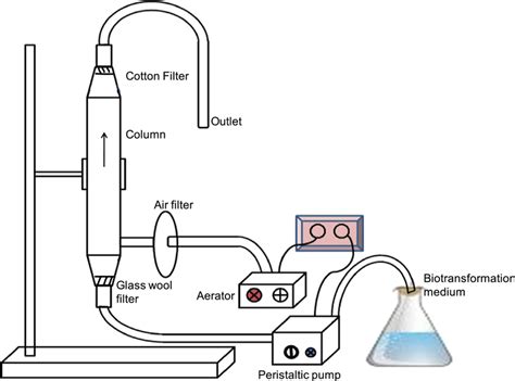Schematic Diagram Of Laboratory Scale Column Reactor Download