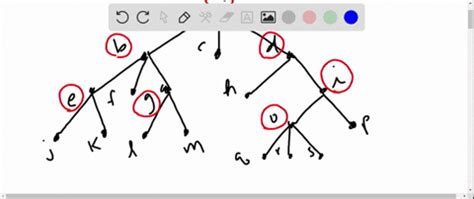 SOLVED Answer These Questions About The Rooted Tree Illustrated GRAPH NOT COPY A Which