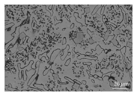 Effect Of Ti Addition On Microstructure Of The Heat Treated Austenitic
