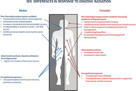 Frontiers Sex Difference Of Radiation Response In Occupational And Accidental Exposure
