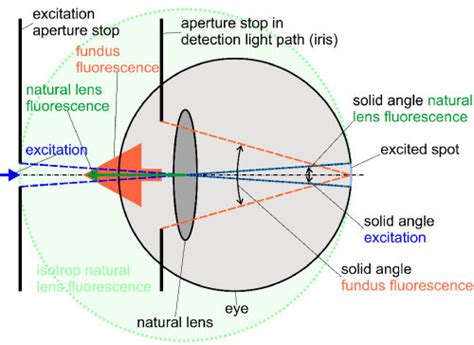Schema Of Confocal Scanning Laser Ophthalmoscopy In The Eye Solid Download Scientific Diagram